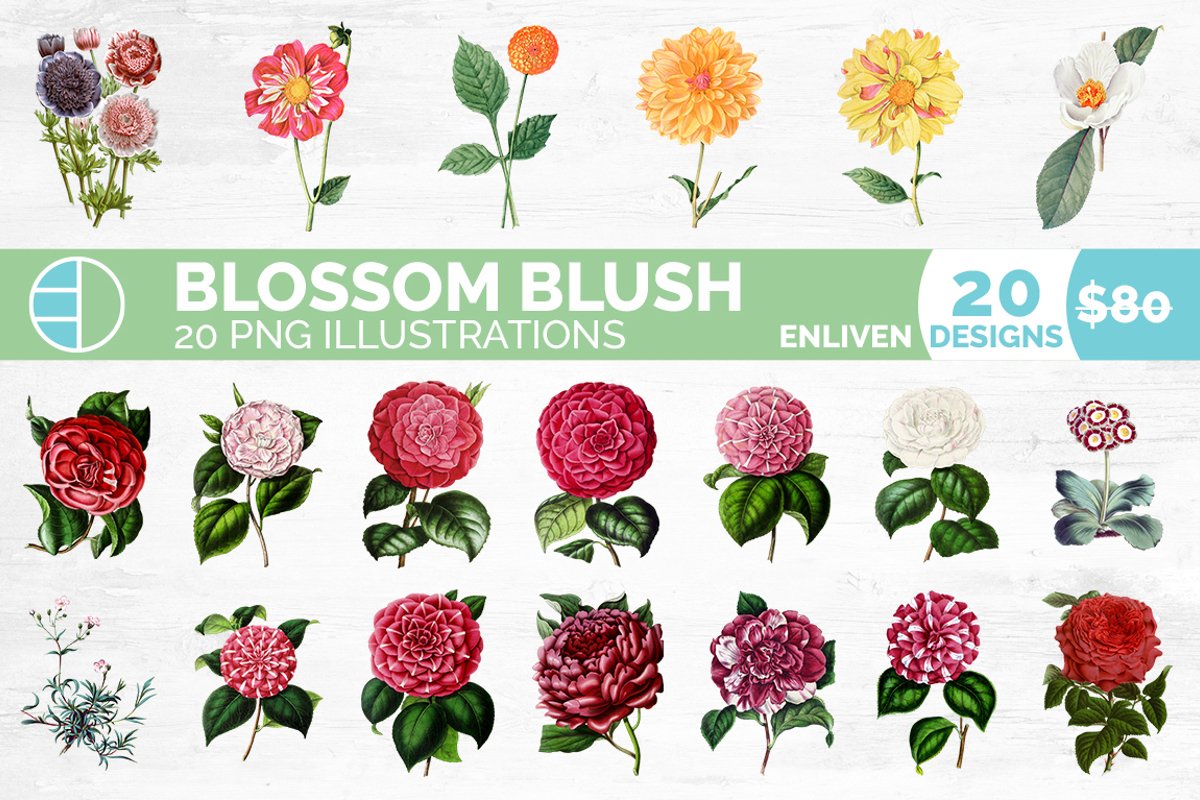 Flower Bundle Vintage Clipart (204185) | Illustrations | Design Bundles