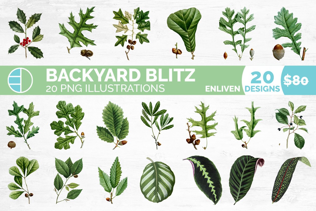 Leaves Bundle Vintage Clipart Leaf 03 (582479) | Illustrations | Design ...