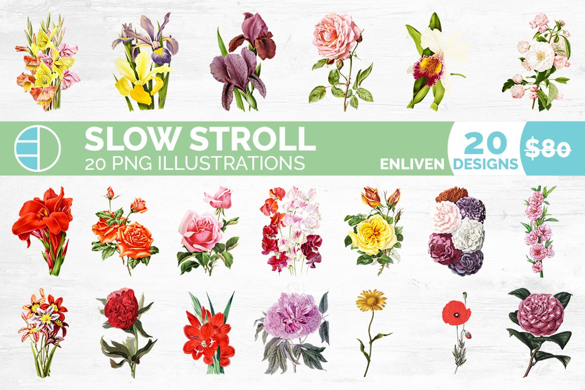 Flower Bundle Vintage Clipart (117597) | Illustrations | Design Bundles