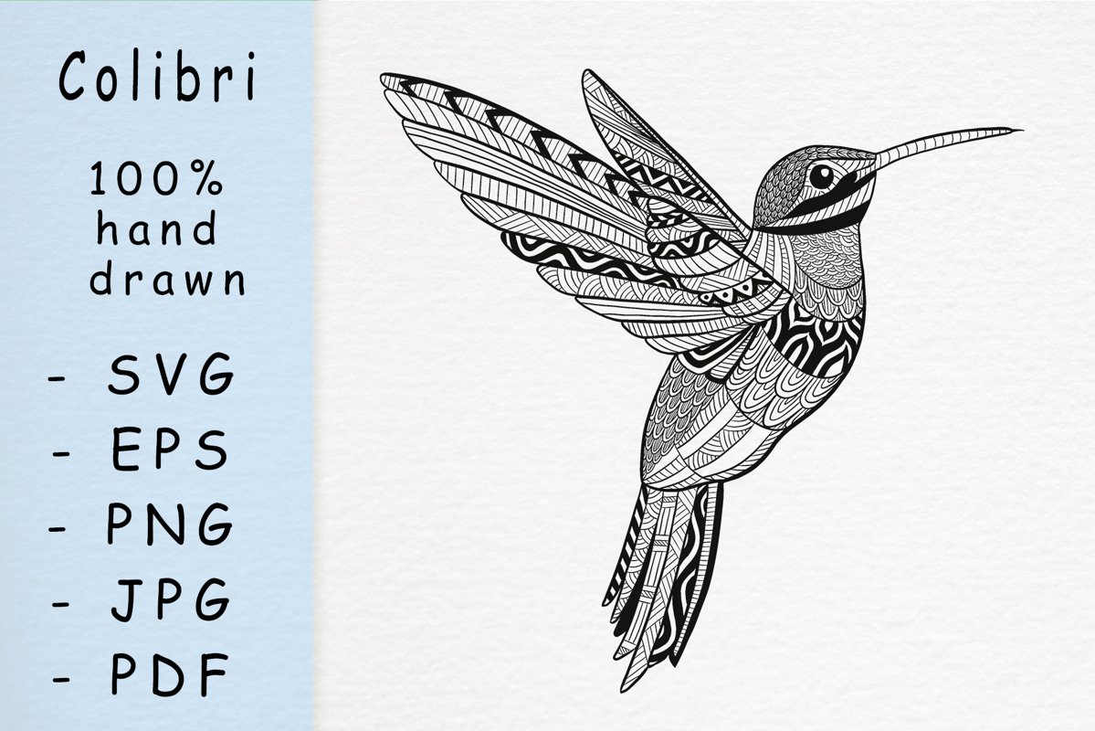 Hand drawn colibri with patterns