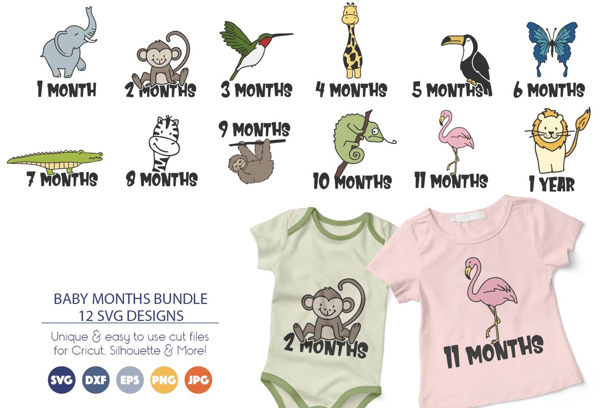 Baby Months Bundle | Jungle Animals | Baby Milestones