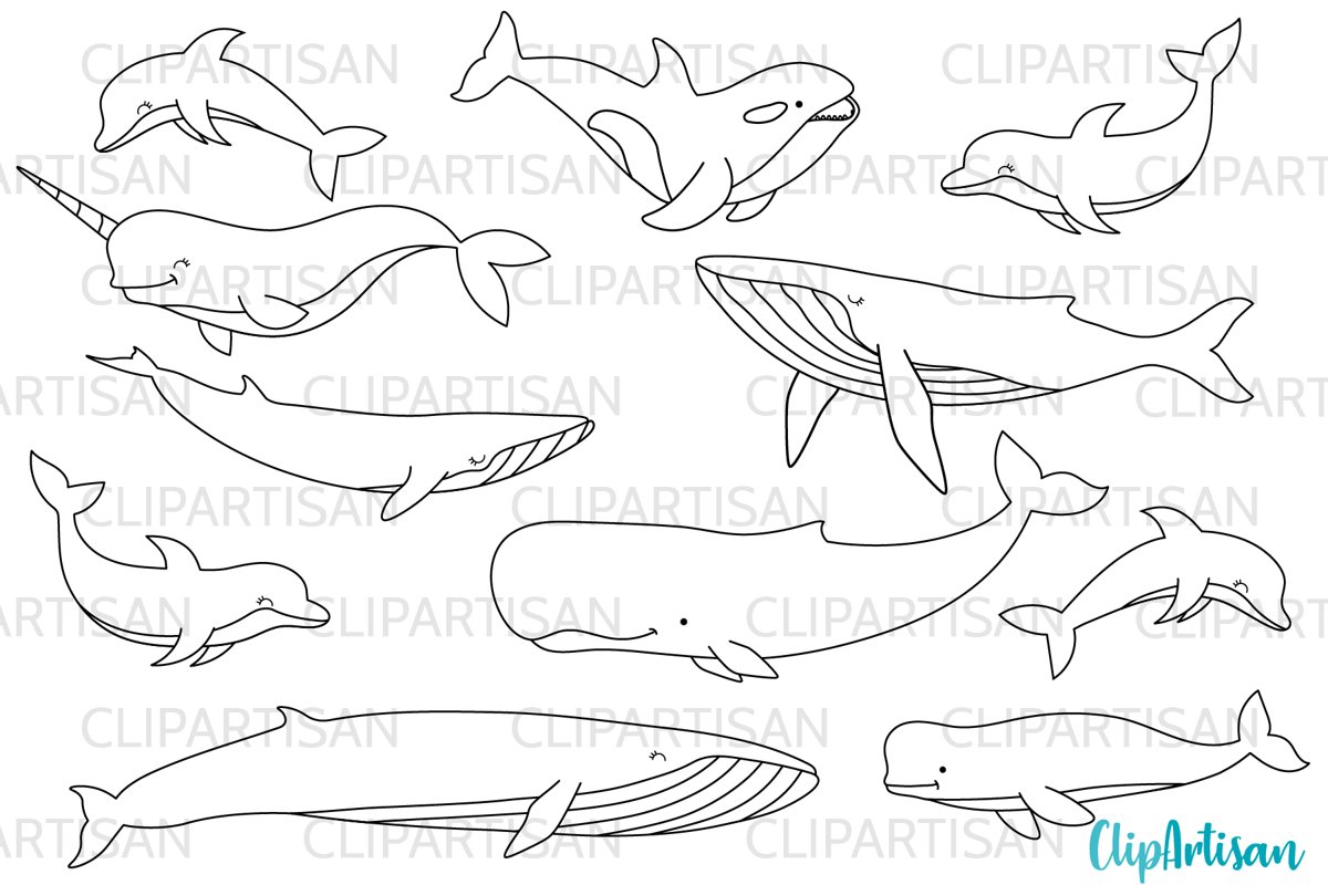 Whales and Dolphins Digital Stamps, SVG, EPS (701376) | Illustrations ...