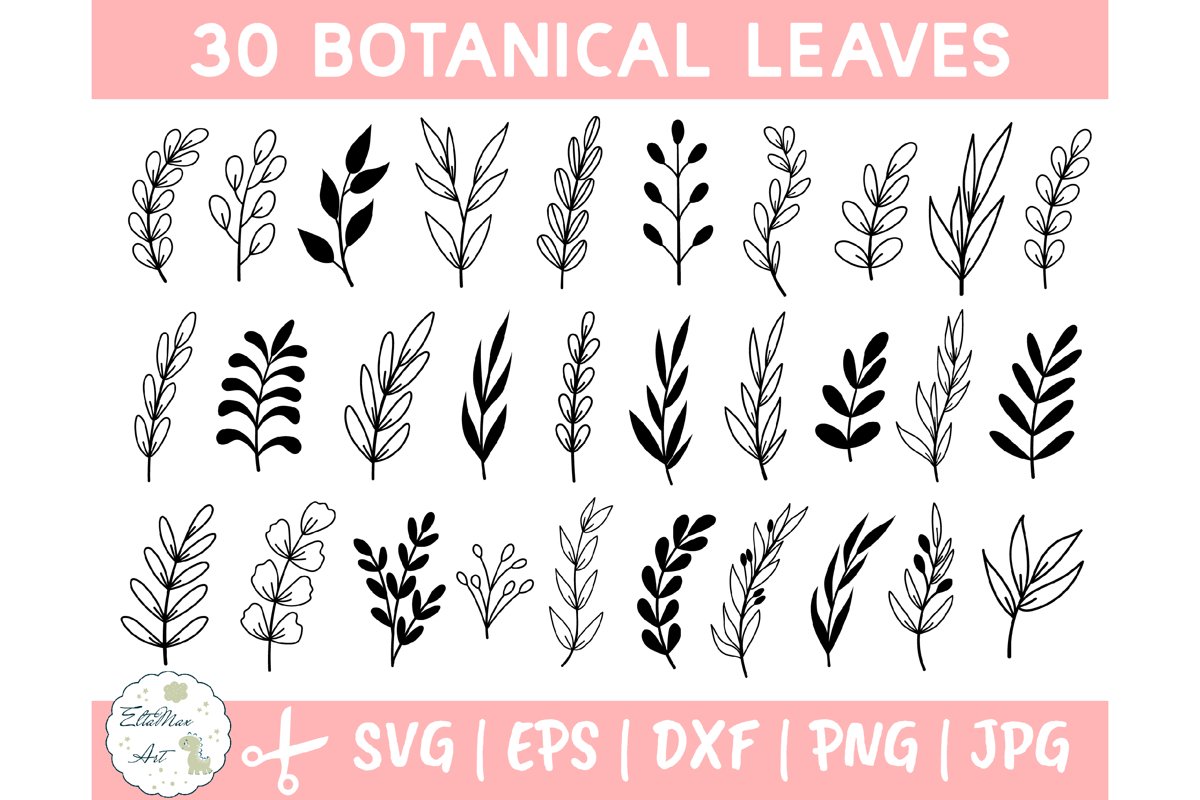 Leaves SVG Bundle, Branches Bundle SVG, Branches svg, Leaf (687134 ...