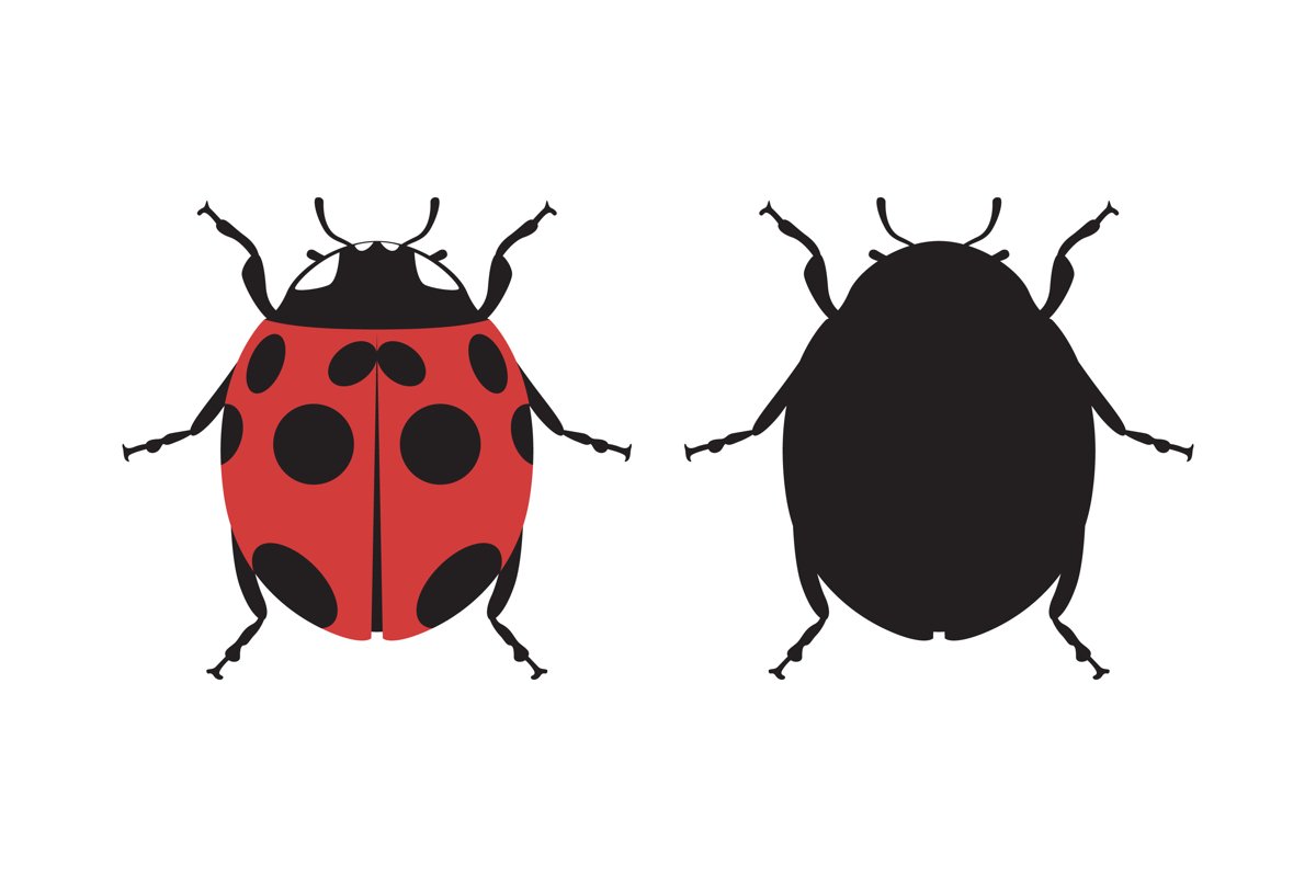 Ladybug Silhouettes and Illustrations