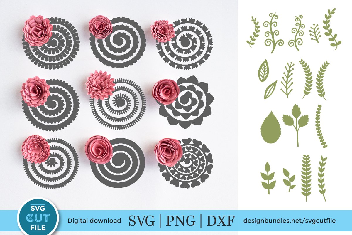 Svg Rolled Paper Flower Template