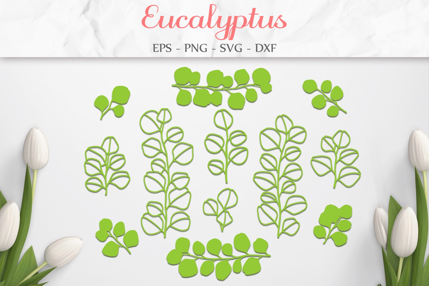 Eucalyptus SVG, Leaves SVG, Eucalyptus Leaf, Branch SVG (1230562) | Cut ...
