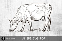 Set of hand drawn milk products design elements. (2001674)