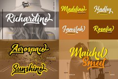 The MINI COLLECTION Bundle (190707) | Calligraphy | Font Bundles