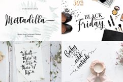 The MINI COLLECTION Bundle (190707) | Calligraphy | Font Bundles