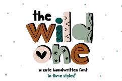 The Wild One - A Fun Handwritten Font with Alternatives! (356909 ...