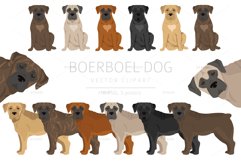 Boerboel dog clipart