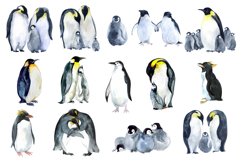 Winter clipart. Cute penguin sticker. Nurse baby penguin png