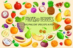 Set of fruits and berries svg png eps ai pdf dxf jpg (2033478 ...