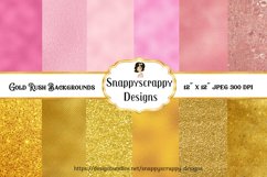 Gold Rush Background Papers