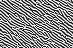 Turing Seamless Pattern #01 (1445438)