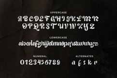 Abrock - Vintage Bold Script