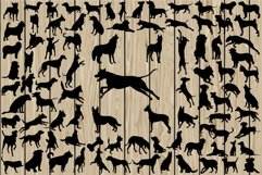 505 Animal Bundle Silhouette SVG, Vector, DXF, (402867)