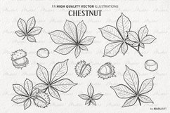 11 Chestnut Tree Leaves Vector Clipart. Chest Nut Leaf SVG