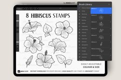 8 Hibiscus Flower Procreate Brush Stamps. Tropical Plant Art