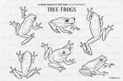 6 Tree Frogs Vector Clipart. Tropical Amphibian Frog SVG Art