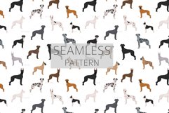 Great dane collection (1009272) | Illustrations | Design Bundles