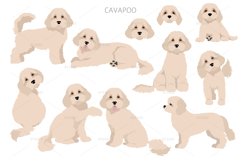 Cavapoo clipart (1312692) | Illustrations | Design Bundles