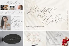 Wedding Collection Font Bundle (2261241)
