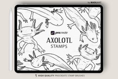 5 Axolotl Procreate Brush Stamps. Salamander Reptile Tattoo