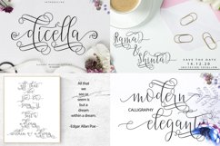 The MINI COLLECTION Bundle (190707) | Calligraphy | Font Bundles