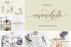 Wedding Collection Font Bundle (2261241)