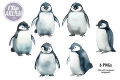 Realistic Penguins Mommy Daddy Baby 6 Watercolor Images Set