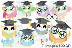 Graduation Owls Clipart - Lime and Kiwi Designs