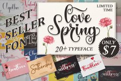 Best Seller Bundle - Love Spring (1240870) | Calligraphy | Font Bundles