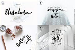 The MINI COLLECTION Bundle (190707) | Calligraphy | Font Bundles