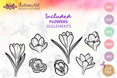 Crocus Svg Hand Drawn Spring Flowers Bundle