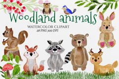 Watercolor woodland animals clipart, forest animals PNG (1260085 ...
