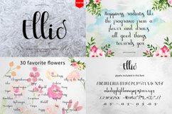 The MINI COLLECTION Bundle (190707) | Calligraphy | Font Bundles