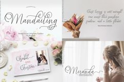 The MINI COLLECTION Bundle (190707) | Calligraphy | Font Bundles