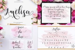 The MINI COLLECTION Bundle (190707) | Calligraphy | Font Bundles