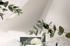 Watercolor Winter Floral Clipart, Watercolor (3095840)