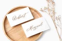 Slava Ukraini Script Font-Elegant Wedding and (2204050)