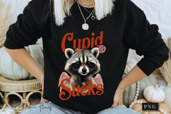 Funny Valentine Raccoon PNG - 4 Designs (6547456)
