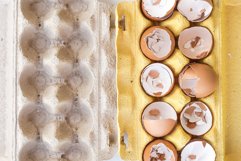 box for eggs chicken egg shells in a container