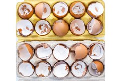 box for eggs chicken egg shells in a container