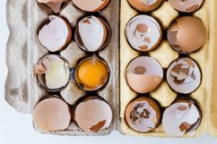 box for eggs chicken egg shells in a container