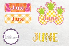 Monthly Clip Art | 51 PNG Files