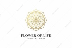 DIY Flower of Life Logo, Spa and Wellness Editable Logo