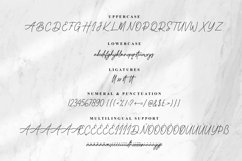 Better Grade Modern & Elegant Script Font / Best Seller Font