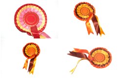 Rosette Winner 1st Prize Ribbon Photo Collection