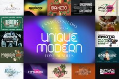 UNIQUE MODERN FONT BUNDLE - VOL.01